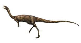 Elaphrosaurus :: reinoanimal
