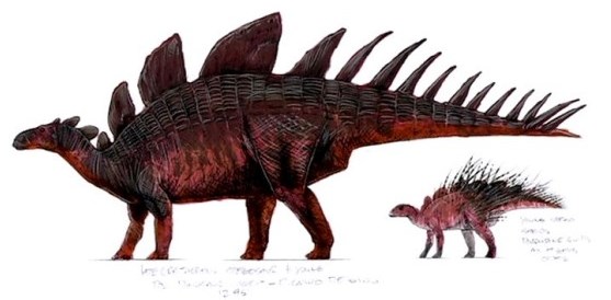 Craterosaurus :: reinoanimal