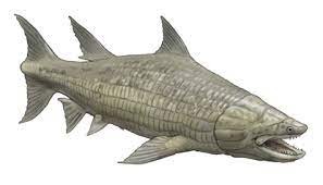 Megamastax :: reinoanimal