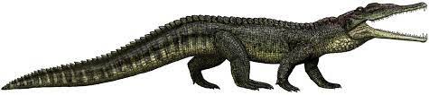Smilosuchus :: reinoanimal