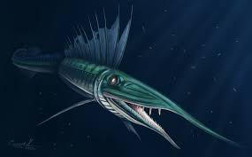 Polymerichthys :: reinoanimal