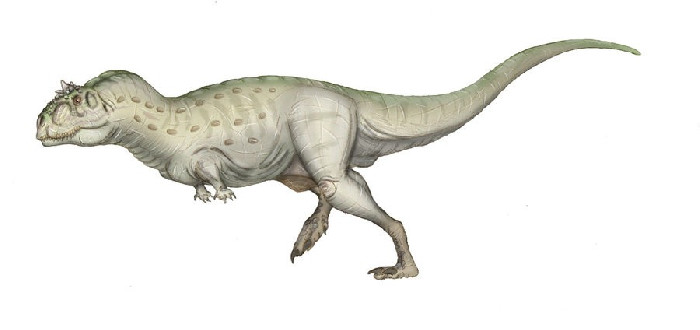 Indosaurus :: reinoanimal